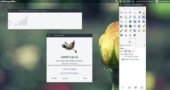 GIMP 2 8 18 Open Source Image Editor Released With Script Fu Improvements More Softpedia