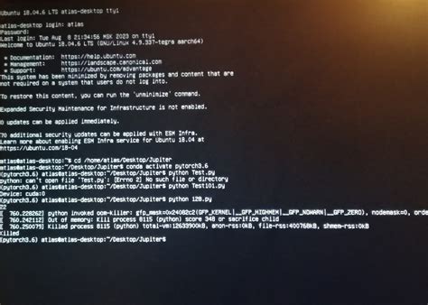 Cant Install Pytorch On Jetsonnano P3450 Jetson Nano Nvidia Developer Forums