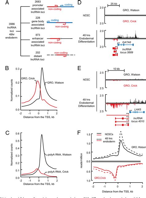 Figure 1 From Divergent Transcription Of Long Noncoding Rna Mrna Gene Pairs In Embryonic Stem