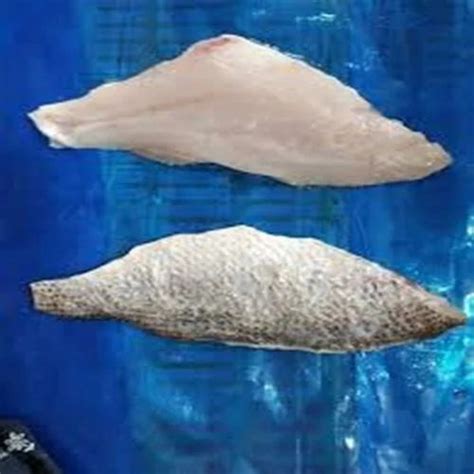 Frozen Red Snapper Fillet At Best Price In Bengaluru By Western Spark Id 2855700210091