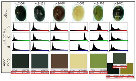 High Throughput Phenotyping For Various Traits On Soybean Seeds Using Image Analysis