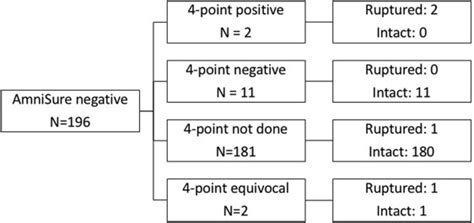 Diagnosis Of Rupture Of Membranes Amnisure Clinical Assessment And