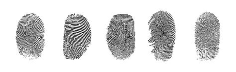 44 914 Biometric Fingerprint Royalty Free Images Stock Photos Pictures Shutterstock