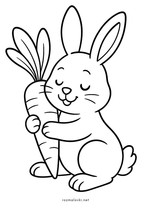 Розмальовки Тварин звірі Роздрукувати безкоштовно А4 скачати розфарбовки для дітей