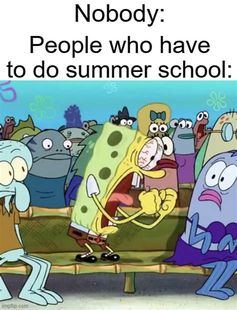 Summer Classes Memes