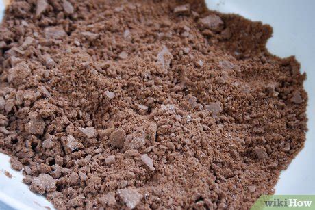 Ways To Make A Mango Float WikiHow Life Ways To Make A Mango Float WikiHow Life