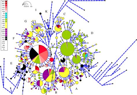 Network Of The Mitochondrial Control Region Haplotypes Found In South