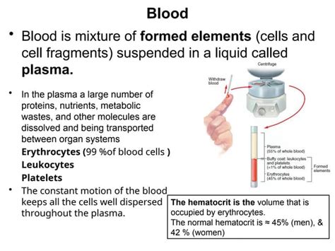 Body Fluids And Circulation Class 11 Pptx