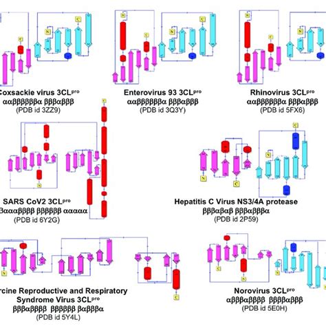 Comparison Of Topological Representation Of Secondary Structural Download Scientific Diagram