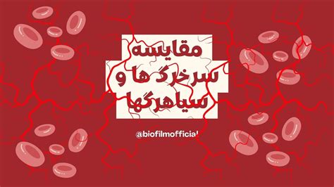 مقایسه سرخرگها و سیاهرگ ها فصل 4 زیست دهم Youtube