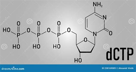 Deoxycytidine Triphosphate Dctp Nucleotide Molecule Dna Building Block Atoms Are Represented