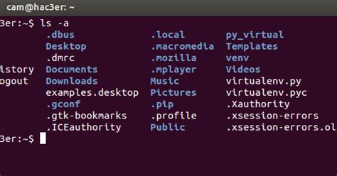 Python My Notes Ls Command Explained Learn Ubuntulinux With Me Day 2