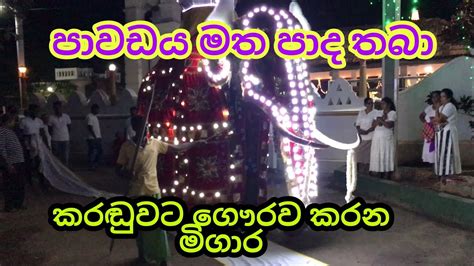 පාවඩ මත ලස්සනට පාද තියලා කරඬුවට ගෞරව කරන මිගාර මෛත්‍රි රාජා Youtube