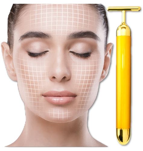 피부 홈케어 가정용 고주파 마사지기 리프팅 목주름관리기 바디 얼굴 갈바닉 티몬