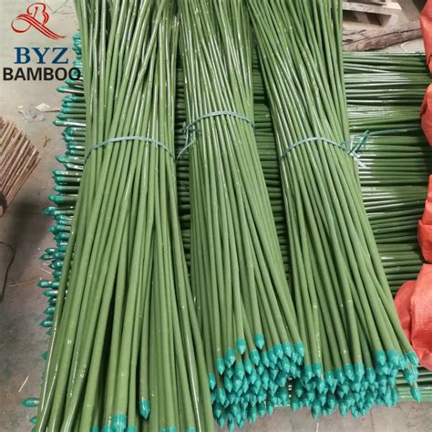 Green PVC Coated Bamboo Treated Flower Support Sticks Pole Bamboo Stakes PVC Coated Bamboo