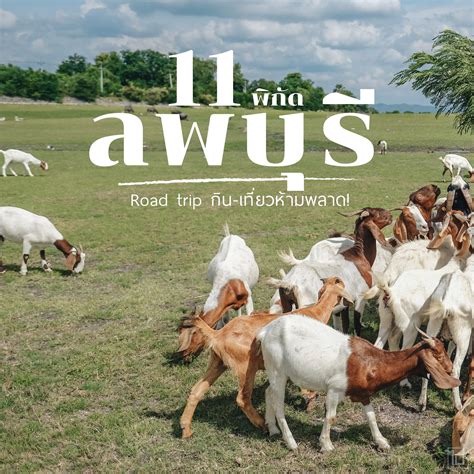 ไปคนเดียว 11 พิกัดเที่ยว ลพบุรี Facebook