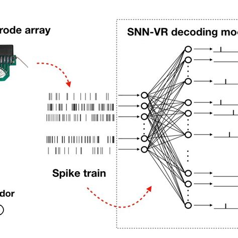 Odor Recognition With Spiking Neural Network Download Scientific Diagram