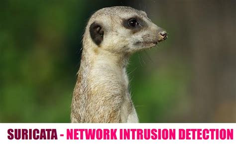 Suricata 144 Released A Network Intrusion Detection Prevention And