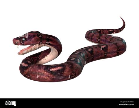 3d digital render of a curious anaconda isolated on white background