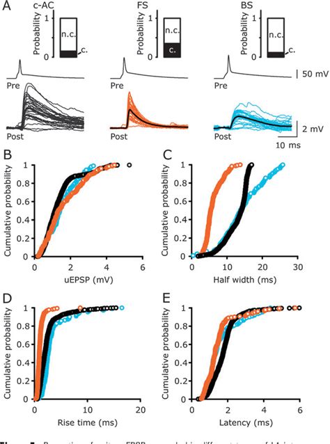 Figure 5 From Specificity Of Synaptic Connectivity Between Layer 1 Inhibitory Interneurons And
