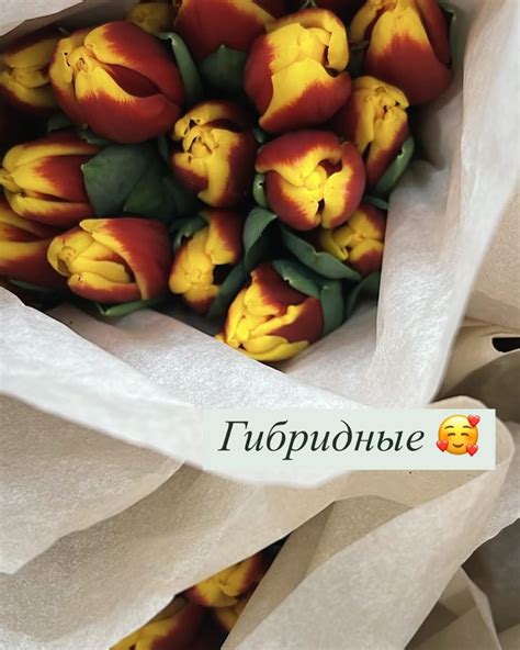 ЯГОДЫ ФРУКТЫ ОВОЩИ Доставили в новых оттенках 🌷 🪸🪸🪸 Instagram