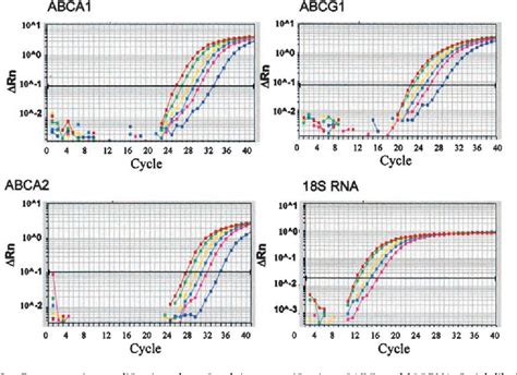 Figure 2 From Reverse Transcriptase Polymerase Chain Reaction Semantic Scholar