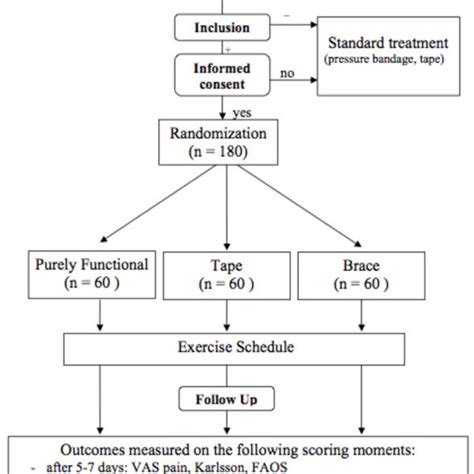 Ankle Trial Flow Chart Inclusion Randomization And Follow Up Download Scientific Diagram