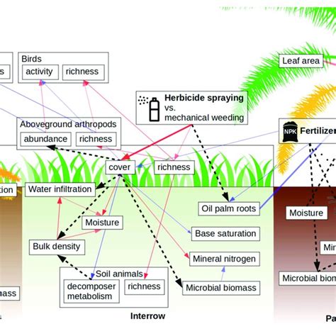Bayesian Structural Equation Modeling Results All Hypothesized Paths Download Scientific