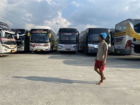 Kru Bus Pariwisata Ini Terancam Denda Rp 5 Miliar Perkara Rutin Telan Pil Mungil Berlogo Y