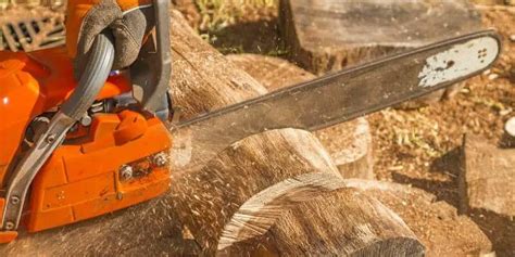 How To Test Chainsaw Coil Backyard Mike