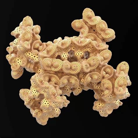 Ali Eslami Alieslami1987 • Instagram Photos And Videos