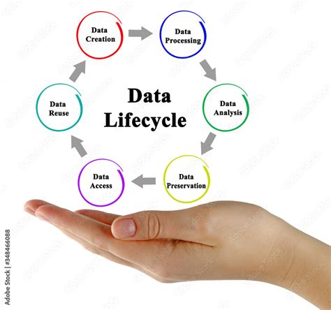 Stages Of Data Life Cycle Stock Photo Adobe Stock