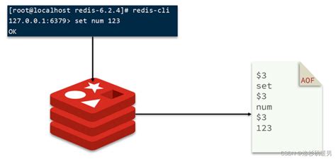 redis高级篇 分布式缓存 redis持久化 csdn博客