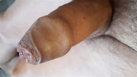 Wet Wet Cock Xhamster