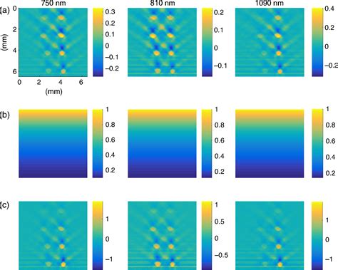Estimating Relative Chromophore Concentrations From Multiwavelength