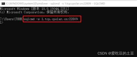 内网穿透实现在外远程sql Server数据库 Windows环境免费内网穿透连数据库 Csdn博客