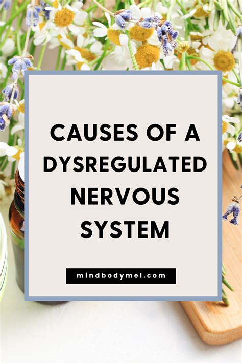Signs Of A Dysregulated Nervous System Mind Body Mel