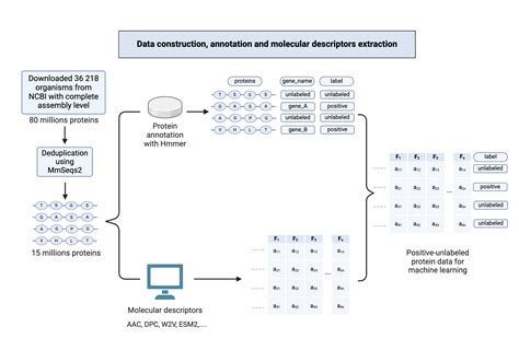 protein annotation and descriptor extraction biorender science templates