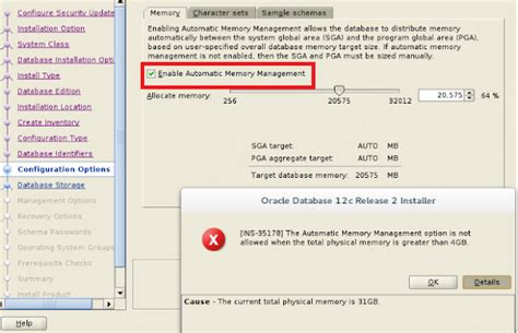 Fatal Dbt 11211 The Automatic Memory Management Option Is Not