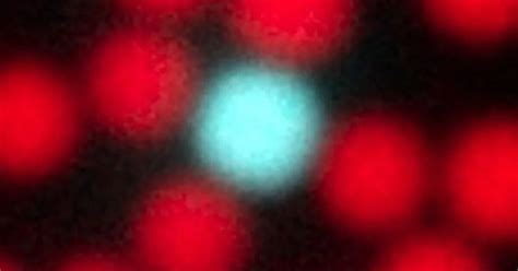 Ciencia Aprenden Cómo Se Autoensamblan Las Moléculas Para Inventar Materiales Infobae