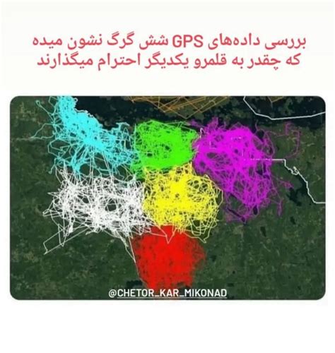 Ramin Barzegar On Linkedin هر کدوم از ما یک قلمرو کاری داریم و برای به