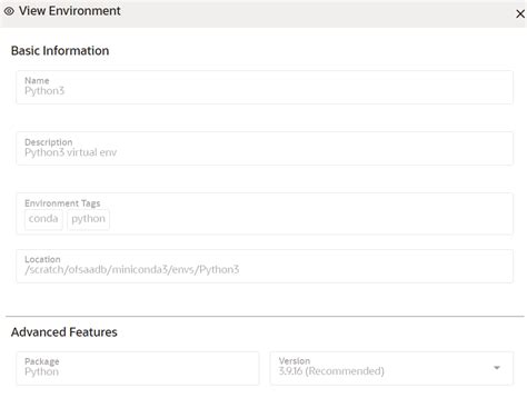 View A Conda Environment