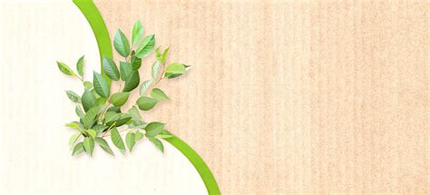 에코 종이 질감과 녹색 잎이 있는 수평 배너 제로 웨이스트 책임 있는 소비에 대한 전략 접근 방식의 지속 가능한 개발 재사용 재생자원 친환경 개념 개발에 대한 스톡 사진 및