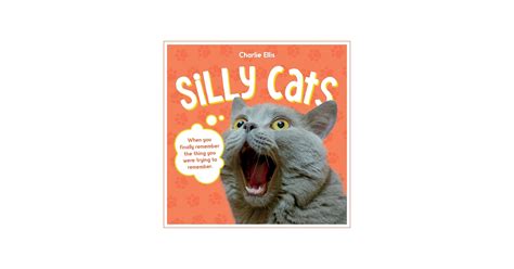 Cat Selfies Charlie Ellis