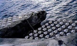 Man Made Objects Spotted In Nature PetaPixel