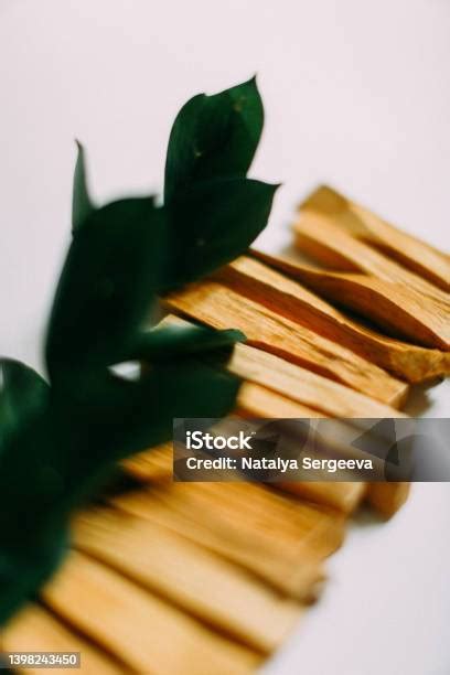 천연 향 팔로 산토 남아메리카의 신성한 나무 컬러 스퀘어 사진 흰색 배경에 팔로 산토 향에 대한 스톡 사진 및 기타 이미지 Istock