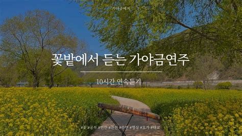10시간🌼유채꽃 보며 듣는 가야금 연주 10시간 연속듣기🌈⎮ 중간광고없음 ⎮수면유도 불면증 집중 공부 힐링 휴식 감성 명상 태교음악 10hours Gayageum Play