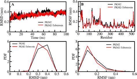 dynamics of pkm2 and its binding with tuberosin a rmsd plot of pkm2
