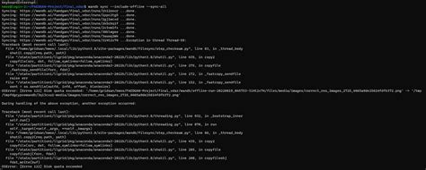 App Wandb Sync Hangs Forever Disk Quota Exceeded · Issue 4143