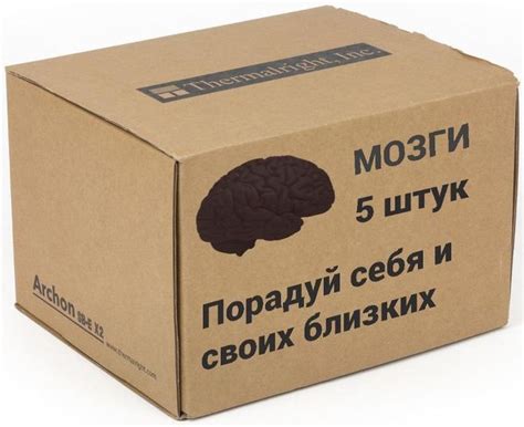 Где можно купить новые мозги?